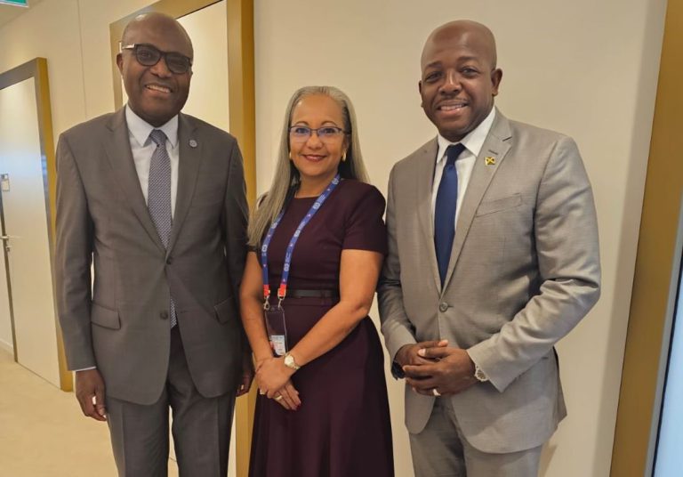 Minister Charles Engages ILO in Discussions on Transitioning Jamaica’s ...
